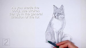 How to Draw a Fox (Sitting)