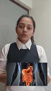 Moringa Powder Benefits | Plant-Based Protein for Digestion & Energy