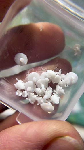 Wizard Dice Making: Tiny Frogs and Mushroom Resin Art