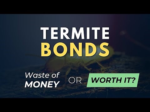 Termite Bonds: Are they Worth it? (don't get scammed)