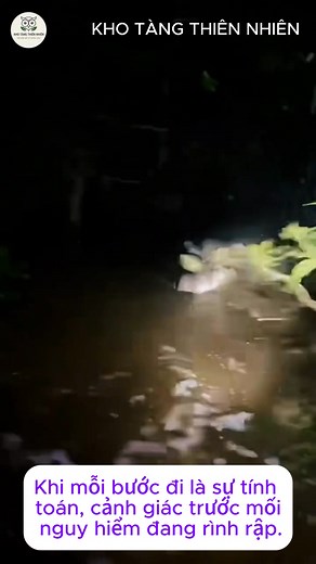 Du Hành Sâu Vào Rừng Amazon: Phát Hiện Sinh Vật Lạ Chưa Từng Thấy! Cảm ơn các bạn đã xem. Còn nhiều video hấp dẫn khác tại https://www.youtube.com/@PrehistoricLife-s6t | Cậu Bảy Review Phim