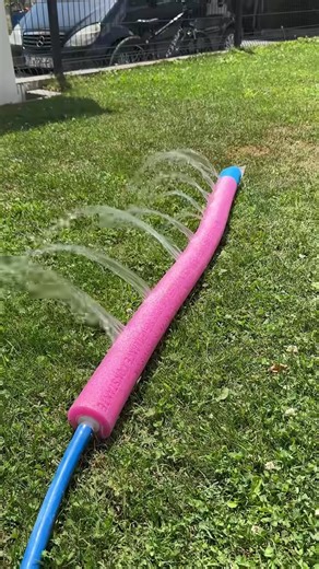 9.4K views · 39 reactions | Garden tricks using pool noodles | Naturee | Facebook
