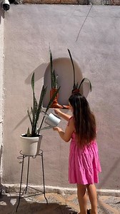 278K views · 82K reactions | Romanticizing la vida  粒陋𣏕 Make up: Foundation @itcosmetics Contour , eyebrow glue, lip liner @nyxcosmetics Blush @merit Setting spray @charlottetilbury Lip oil @elfcosmetics Hair products @itsa10haircare @pureology #latina #latinavlogger #mexicancontentcreator #grwm #dayinmylife #méxico #aguascalientes #sahw | Angela | Facebook