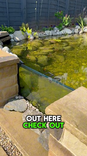 A backyard Aquascape Ecosystem Pond with a viewing window by Yorkshire Aquascapes #pond #koipond | Greg Wittstock the Pond Guy