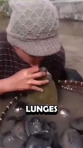 She Didn’t Expect THIS From a Turtle