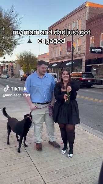 Dog POV Adventures: Seeing the World Through Canine Eyes