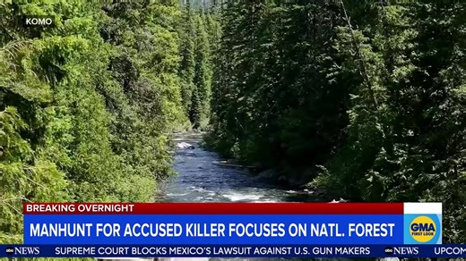 MANHUNT FOR ACCUSED KILLER FOCUSES ON NATIONAL FOREST: The search for Travis Decker, accused of murdering his three young daughters, continues along the Pacific Crest Trail. Decker's ex-wife says he struggled with his mental health after serving in Afghanistan. ABC's Johny Fernandez reports. | World News Now