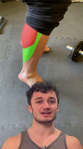 Scientifically develop your calves