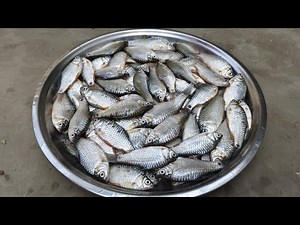 How to make Pothi Machhali || Very Simple style Cooking and eating