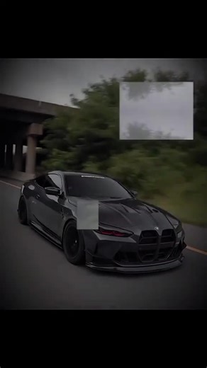 problem Terminator na TikTok