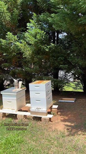 hipbeehomestead on TikTok