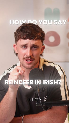Gaeilgeoir Guides on Instagram: "Rudolf's learning Irish and you should be too 🤷♂️ #Gaeilge #Irish #GaeilgeoirGuides #LearnIrish"