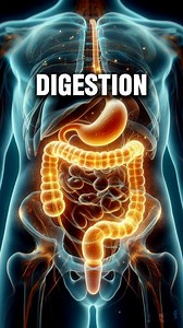 Drink This 10-Day Ginger Detox Tonic and Watch What Happens to Your Body #naturalremedy #wellness #health #healthtips The content on this page is for informational purposes only and not intended to diagnose, treat, or cure any medical condition or be considered medical advice from our side. Consult a physician / medical professional if you need health advice. | Health in a Flash