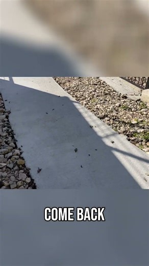 Pool Water Mystery Solved In Seconds!