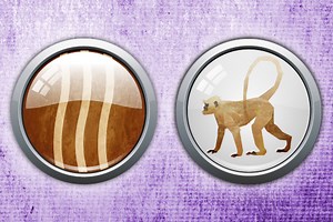 Chinese Horoscope: What to know about the Wood Monkey sign