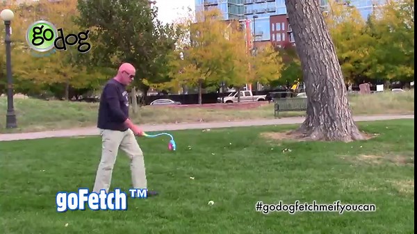 Watch goDog Retrieval goFetch Toy Launcher and Tough Core Technology Ball on Amazon Live