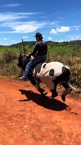 2.7M views · 84K reactions | Las tortillas un refresco y que más suegra ??  #humor #tips #random #djszacatecassax #memes #reels | Djs Zacatecas Sax | Facebook