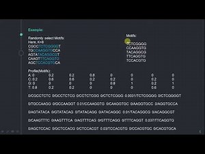 Randomized algorithm for motif finding | Bioinformatics Computing