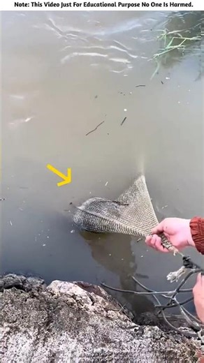 The coconut got caught in its net 🥥😱