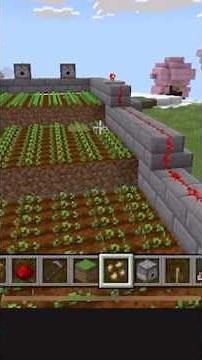 How to make an automatic beetroot farm in Minecraft #easy #minecraft