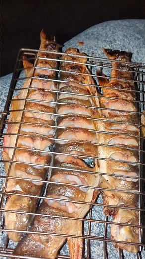 CATCH & COOK ADVENTURE IN WILD MOUNTAIN RIVER! FRESH FISH • RAW NATURE #fishing #catchandcook