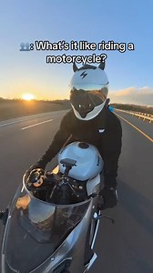 time for a toothless marathon. can we talk about how accurate the whales are- #bikergirl #motorcycle #bikerlife #bikersoftiktok #motorcyclesoftiktok #motorcyclelife #1up5down #zx6r #trending | Dr. Vanity Show 1