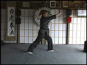 Tracy Kenpo Karate Basic