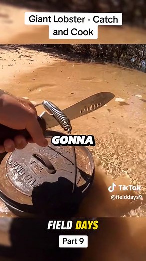 Giant Lobster - Catch and Cook P9 #lobster #catchandcook #camping #outdoors #fishing #fielddays #fyp