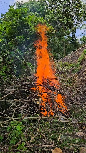 2.5M views · 38K reactions | kisah nyamuk muda | Adau Tadau | Facebook