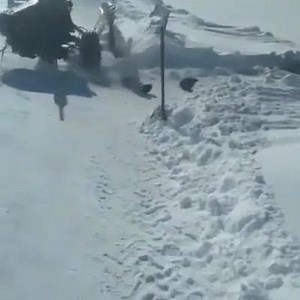 Farming Works on Reels