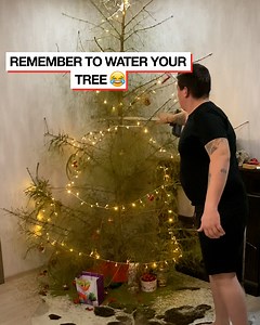 It's always a struggle to get the perfect Christmas tree...🎄🤣 | LADbible