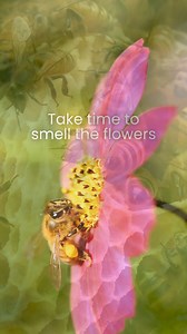 Rainforest Alliance farmers use sustainable methods that support the bee-boosting biodiversity we all depend on! Follow us 💪 | Rainforest Alliance