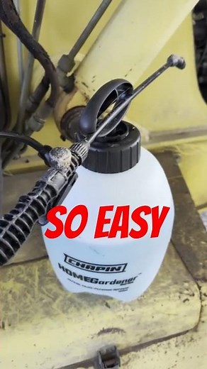 Soap and Water Trick Makes Pests Go Away