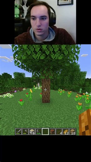 Answer! Ignore this being 2 days late #minecraft #minecraftpuzzle #puzzle