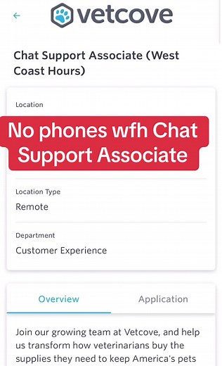 No Phone Work From Home Chat Support Associate Opportunities