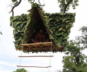 How To Build Top Tree House | Wilderness Daily