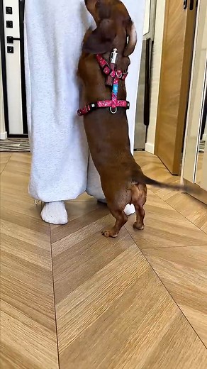 ELI SLOWED DOWN TIME🕘⏳😱 #KidsFun #FamilyTime #KidsActivities #CreativeKids #PlayfulMoments #EducationalFun #FamilyFun #KidsCrafts #HappyKids #LearningThroughPlay | Funfammedia