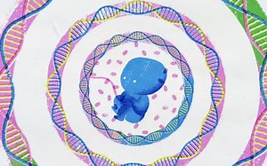 【TED-Ed】无法从父母那里得到的基因