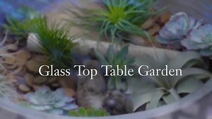 Fun project from episode #304 “Plants and Flowers for a Healthy Home” creating a small landscape including air plants (Tilandsia) inside a table. Watch the J Schwanke's Life in Bloom Sunday at 11am EST on most public television Create TV stations. | J Schwanke's Life in Bloom