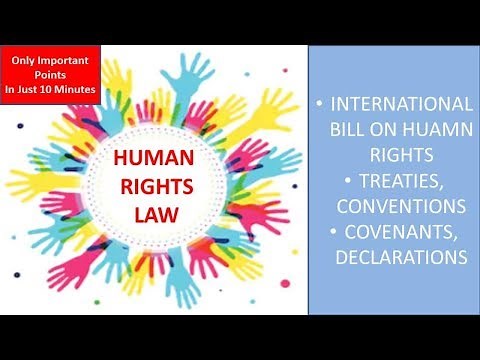 Human Rights I International Bill on Human Rights