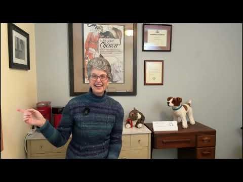 How to stop cat medication struggles easily