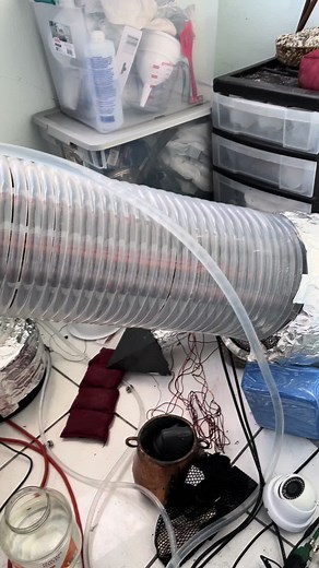 ELECTROHUMANO (@electrohumano)’s videos with original sound - ELECTROHUMANO