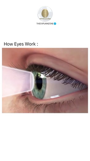 How Everything Works | Follow @theexplainzone For Daily Explains 🧠 Light first enters the eye through the cornea and the anterior chamber, then passes through... | Instagram