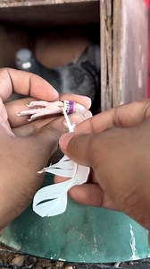 Easy way to install leg ring in Baby Pigeon Leg #güvercin #merpati #کبوتر #kabootar #kalapati #fblifestyle #pigeonrace | Shovon's Homing Pigeon