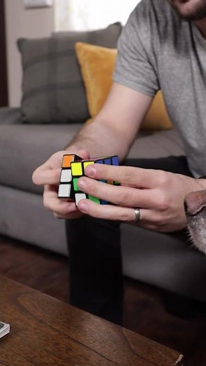 This Dog can solve the Rubik's Cube #shorts