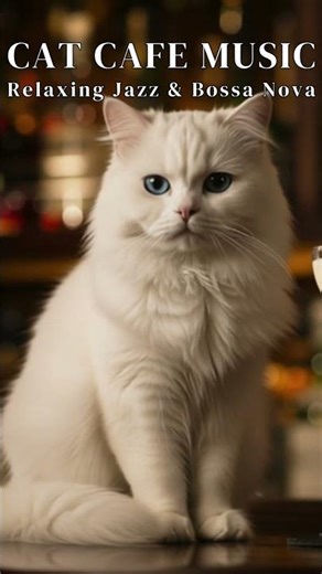 【大人の猫カフェ】クールジャズBGM(Adult Cat Cafe | Cool Jazz BGM)☕🌙🐾 #shorts
