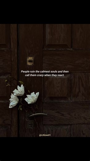 Exploring the Magic of Words and Literature