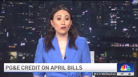 Twitter bird logo sign up for auction