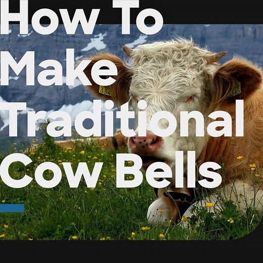 Ring, ring! This one's a good'un. 🛎 | Discovery Channel UK