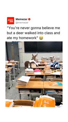 MEMEZAR • MEMES & MEME-CULTURE on Instagram: "😭 The phrase “the dog ate my homework” dates back to the early 1900s, with a 1905 anecdote in a Welsh American magazine describing a minister whose dog ate part of his sermon, and a 1929 mention in The Manchester Guardian referencing a student blaming a dog for torn homework. Over time it evolved into a universal cliché for a flimsy and unbelievable excuse. 🎥ViralHog"